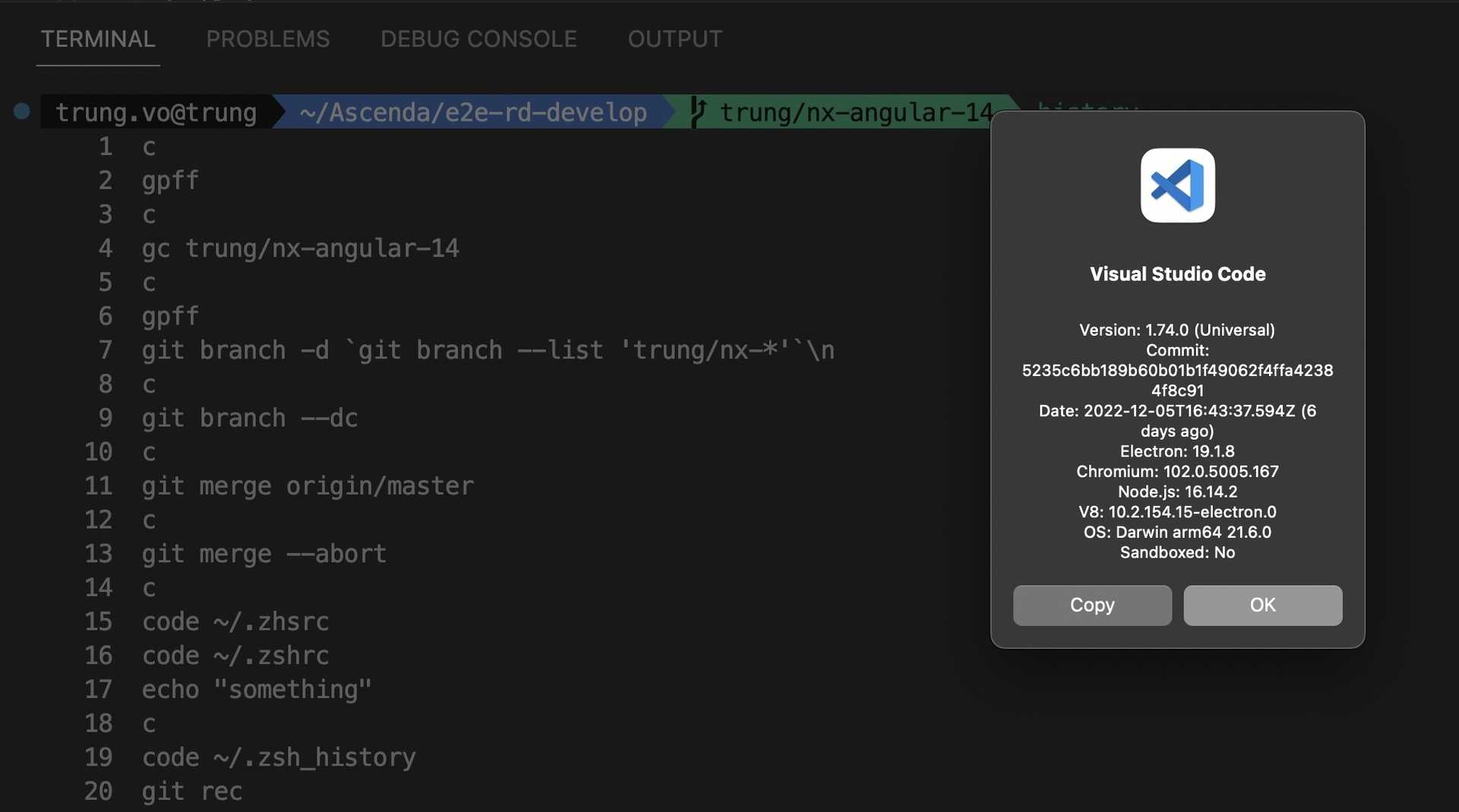 zsh history not working after VSCode upgrade | Trung Vo